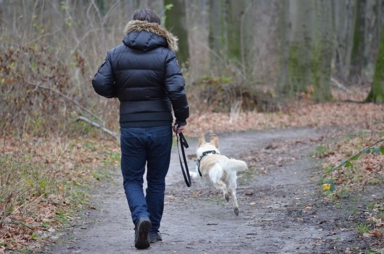 Hunde Gassi gehen: Entspannt mit dem Hund spazieren gehen