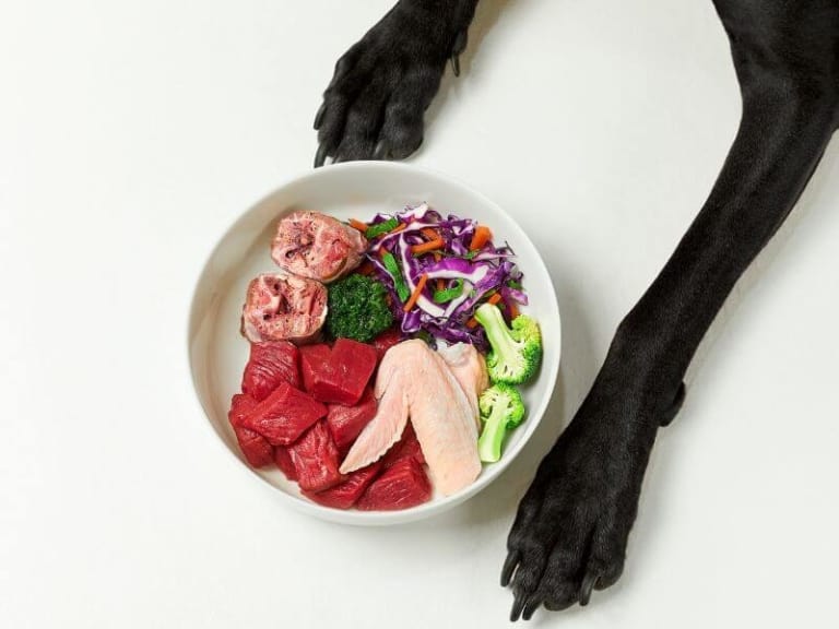 Barfen für Anfänger